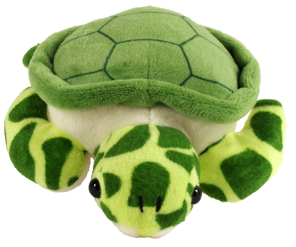 Hug a Sea Turtle Kit – The Southern Welcome